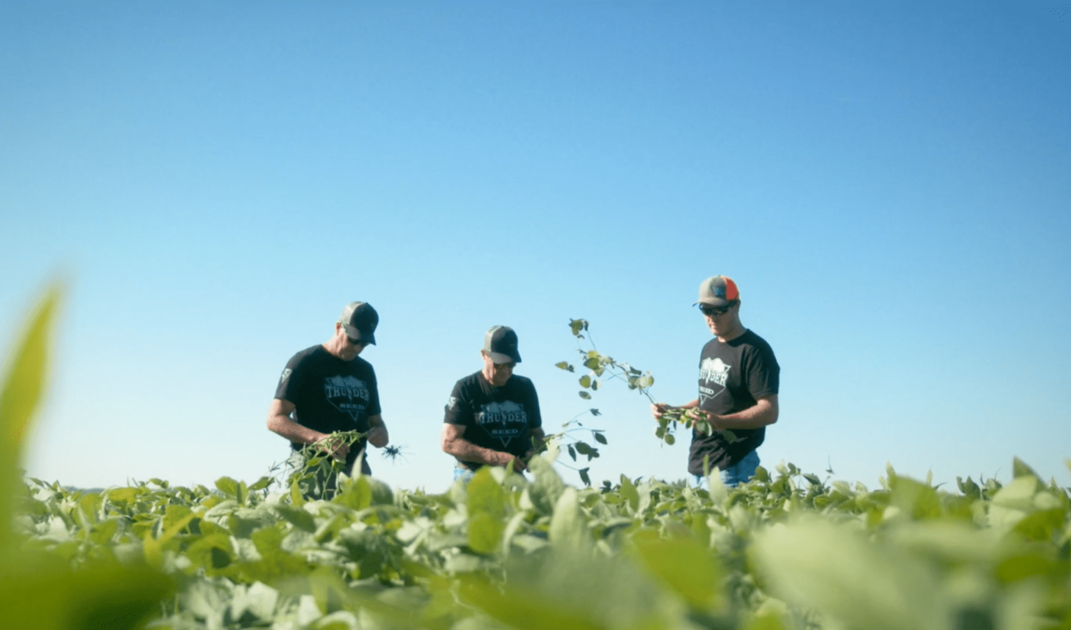 Our Company | Thunder Seed